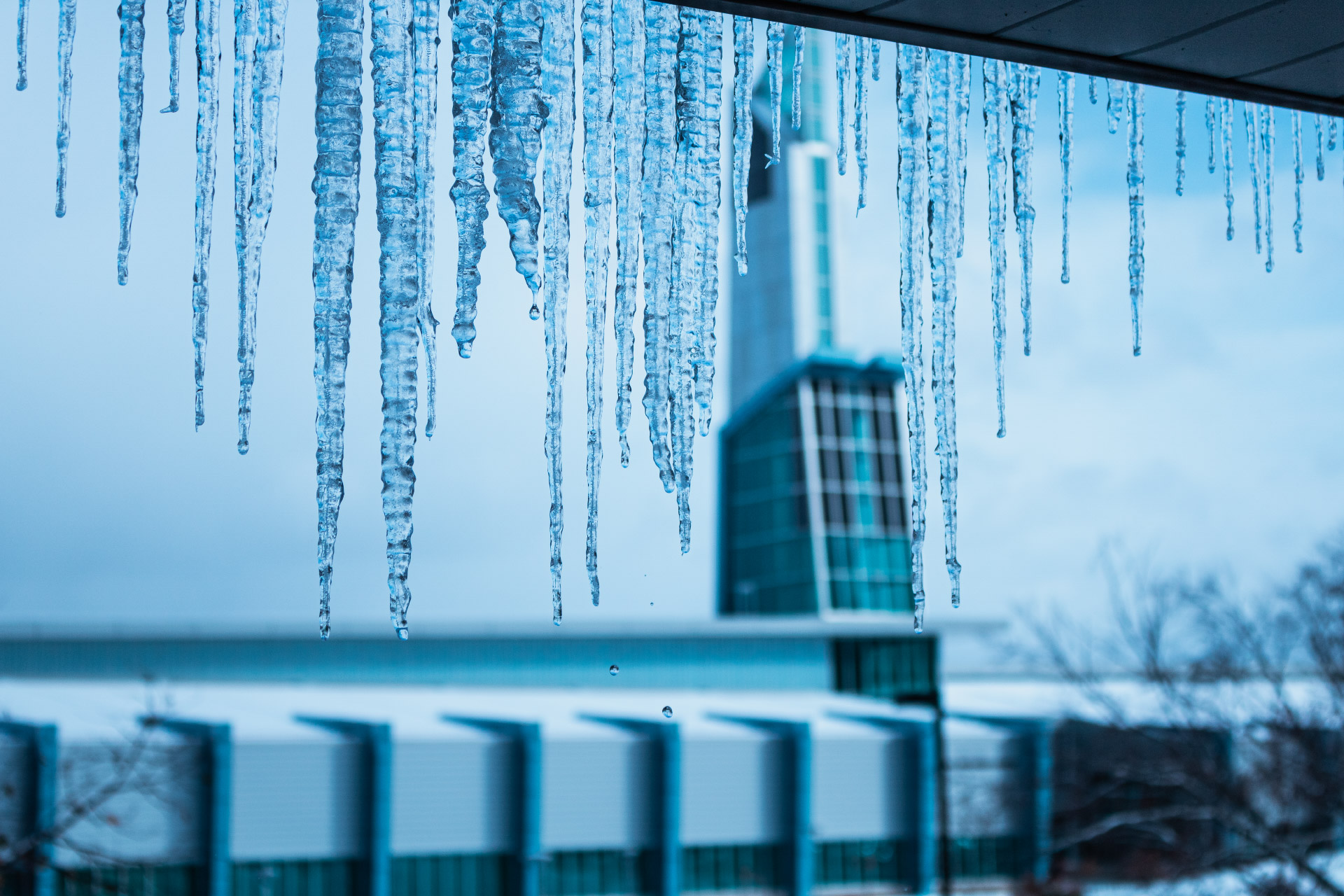 re-critique-icicles-editmyraw